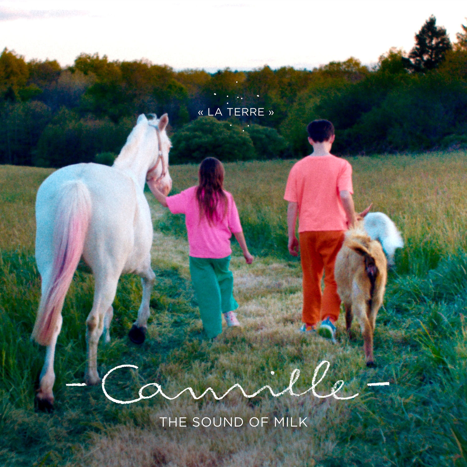 Camille - Because Music